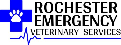 Rochester Emergency Veterinary Services